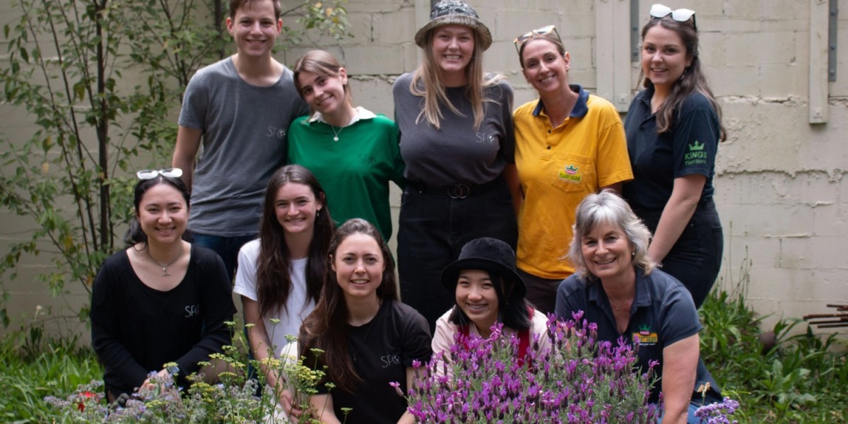 The best places to buy houseplants in Auckland