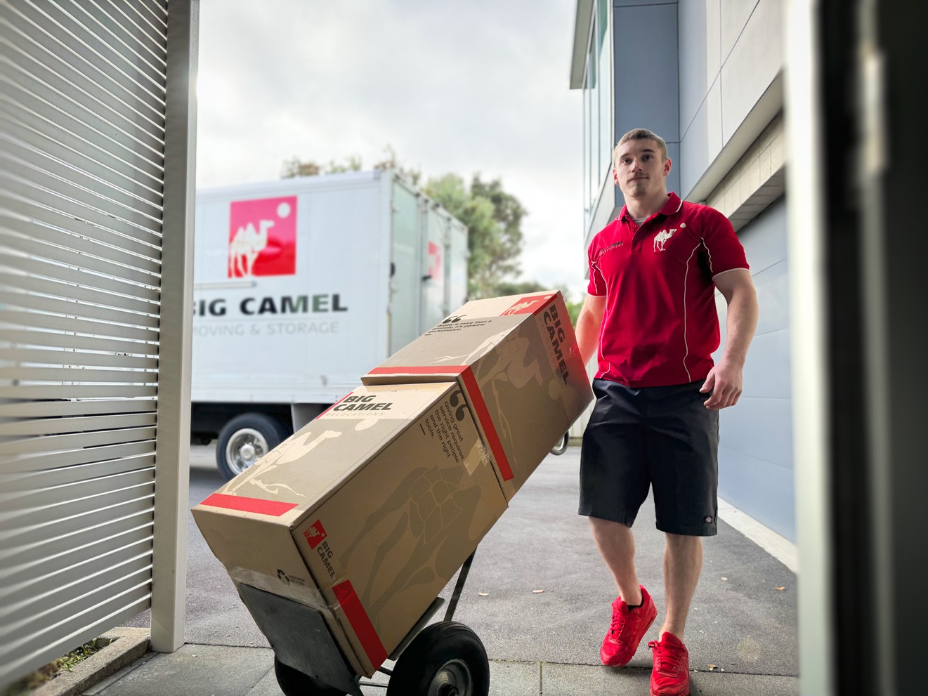 Big Camel Moving & Storage | Book Now - Wise Move