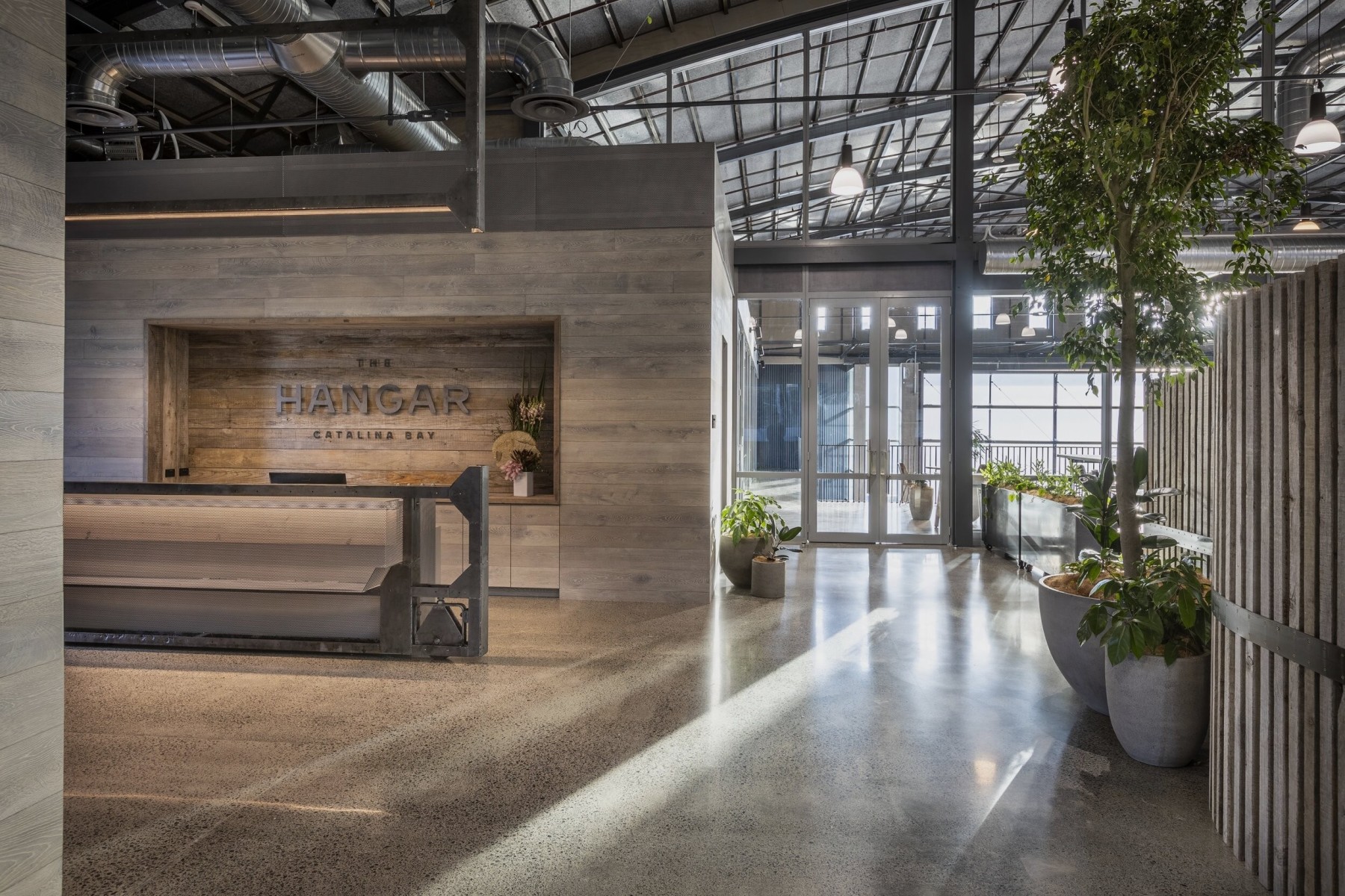 A guide to the best coworking spaces in Auckland, NZ