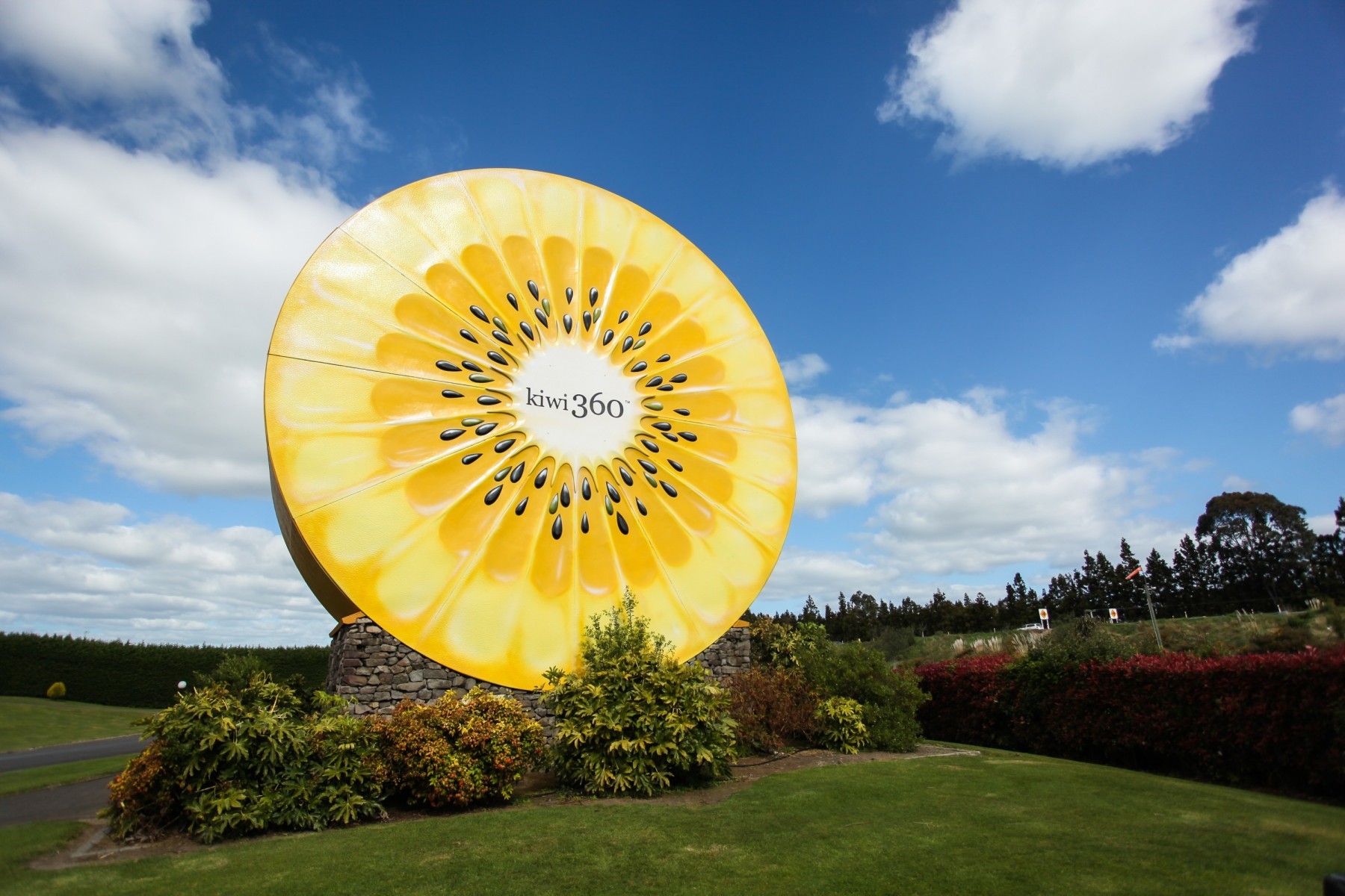 New Zealand Kitsch Icons: Explore Small Towns' Big Art